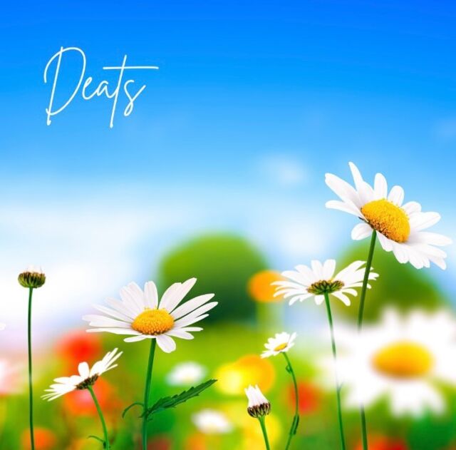 ディーツフードプランニング株式会社 | Deatsは「伝統」と「技術」を融合させた、次世代のサスティナブル食品です。